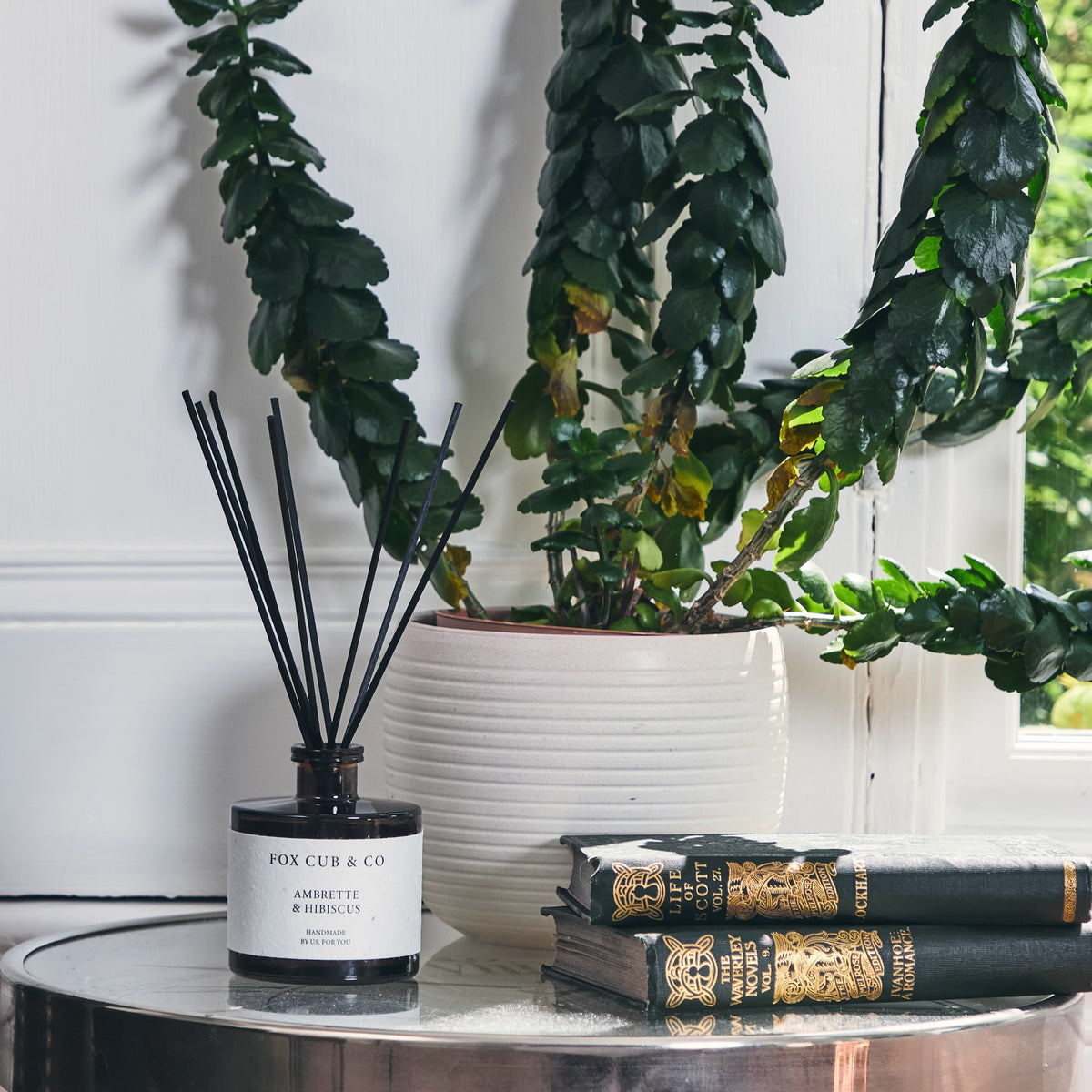 Fox Cub & Co Ambrette & Hibiscus Reed Diffuser – Andersons of Inverurie