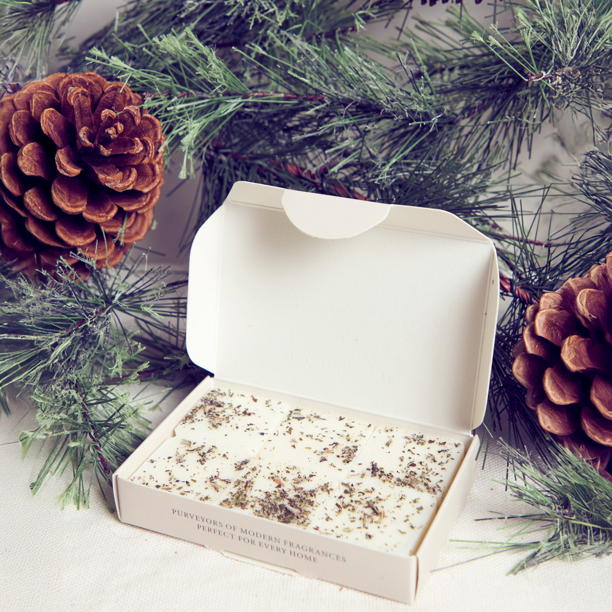 Fox Cub & Co Pine, Mint & Eucalyptus Soy Wax Melts – Andersons of Inverurie
