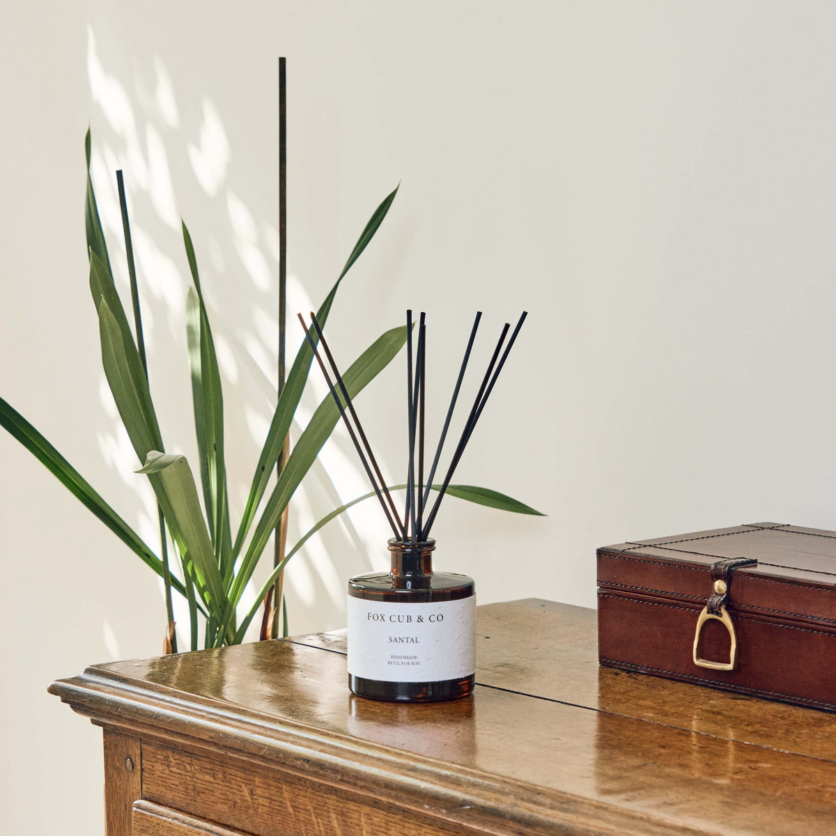 Fox Cub & Co Santal Reed Diffuser – Andersons of Inverurie